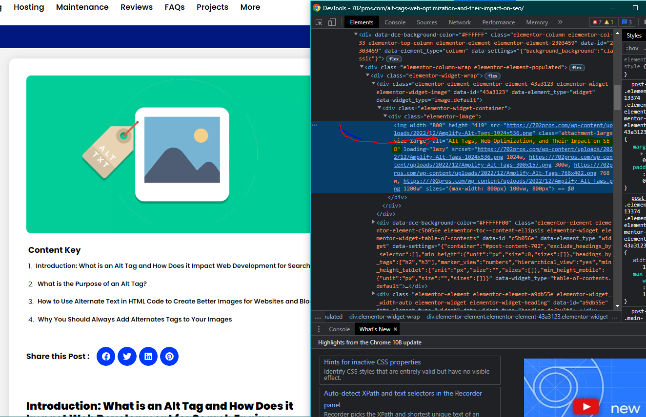 Alt Tags, Web Optimization, and Their Impact on SEO | 702 Pros